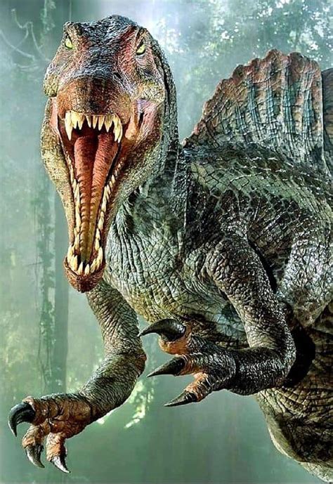Jurassic Park 3 Spinosaurus Hintergrundbild The Jurassic Mag Clash