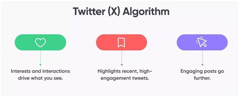 Breaking Down Social Media Algorithms What Works In