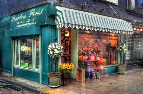 بهترین گلفروشی های تهران اینا با گلاشون هر رابطه ی کاتی رو به آشتی