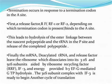 Termination Of Translation Protein Synthesis Pptx Chemistry Science