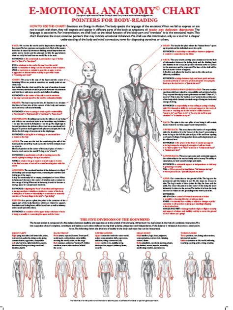 Emotional Anatomy Chart