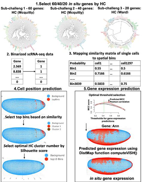 Figure 1 From Previously Titled An Unsupervised Learning Method For