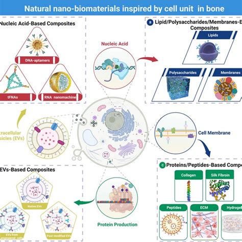 Schematic Representation Of Natural Nano Based Biomaterials Inspired By