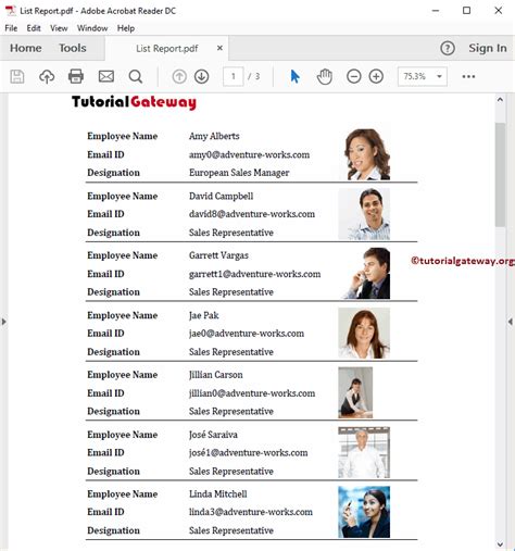 Report Subscription In Ssrs Pdf File And Email