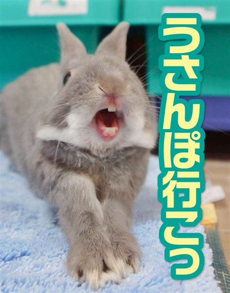 なつかしギャラリー Vol20│うさぎのふうた