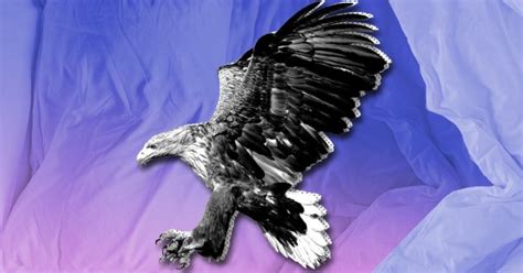 What Is Eagle With A Broken Wing Love Island Paiges Fave Sex Position