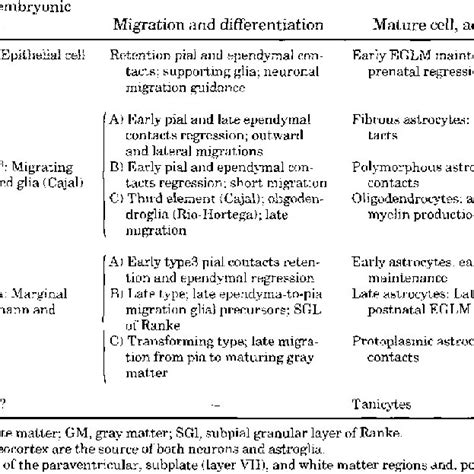 Types Source Migration And Differentiation Of Human Neocortex