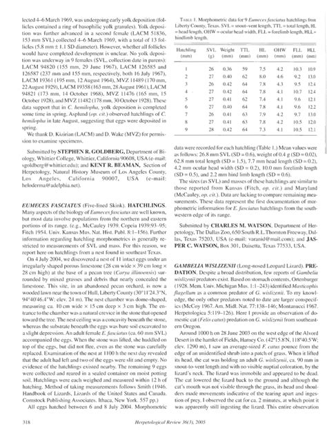 Pdf Gambelia Wislizenii Long Nosed Leopard Lizard Predation