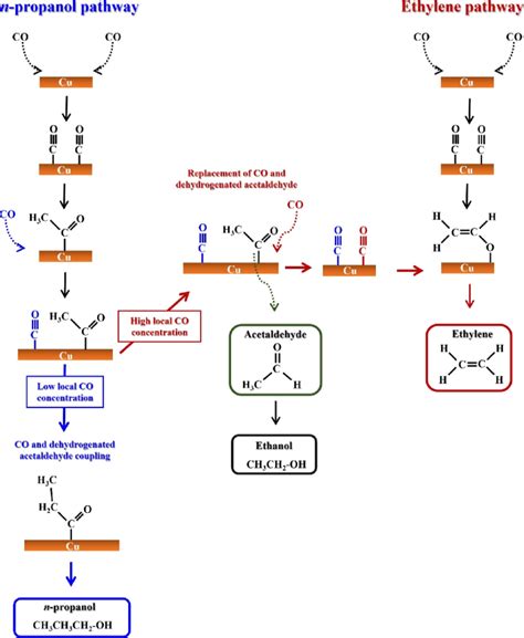 Reaction Pathway To Ethanol Acetaldehyde Ethylene And N Propanol