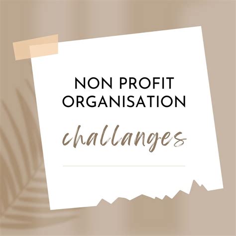 preeti rani on linkedin nonprofits organisation in india face various