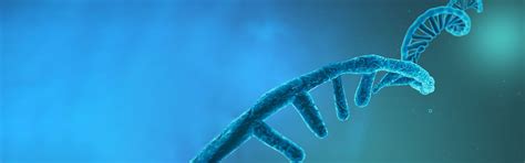 Rna Sequencing Rna Seq