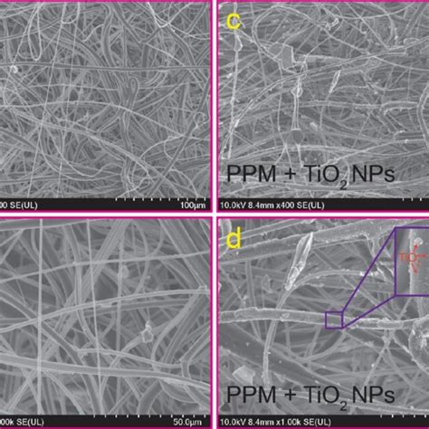 A Tem Image Of Tio2 Nps B Particle Size Distribution Graph Of Tio2 Download Scientific