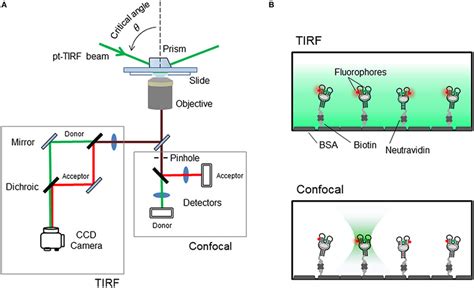 A Schematics Of The Single Molecule Fret Setup Detection Of The Download Scientific Diagram