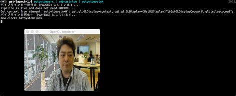 Gstreamer On Macos ではじめる動画処理【video編】 Developersio