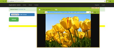 Aspnet Web Api Using Mvc And Jquery To Upload And Download Files