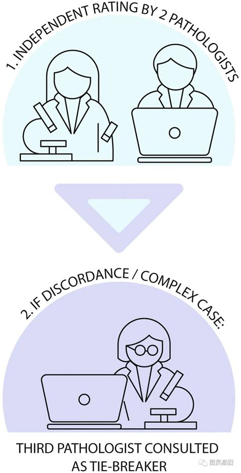 Mod Path 病理医生和计算机工程专家团队联合开发数字病理图像标注实用指南 知乎 Mod Path 病理医生和计算机工程专家团队联合开发数字病理图像标注实用指南 知乎