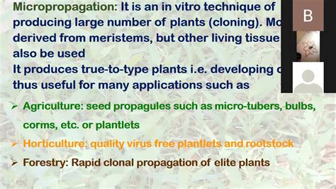 Micropropagation YouTube