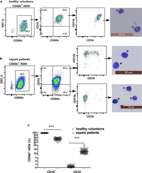 A Flow Cytometry And Cytological Morphology Of Cd66b⁺cd10⁺ Ndn In