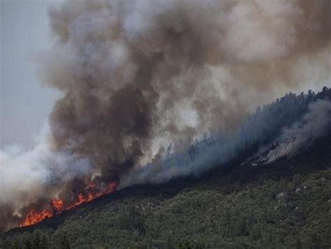 Хөвсгөл аймагт ой хээрийн түймэр гарчээ