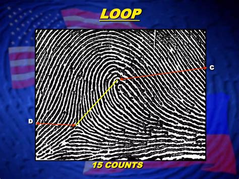 Fingerprint Classification Loop Patterns Pptx