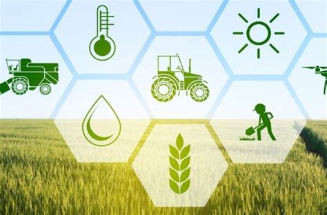 5 Tips For Efficient Agricultural Farm Management Growing Magazine