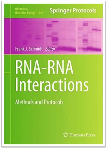 Methods In Molecular Biology Vol1240 Rna Rna Interactions Methods And Protocols Sách Việt Nam