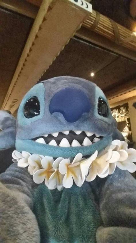 Pin By Mayeutm On Stich Stitch Toy Lilo And Stitch Characters Stitch Cartoon