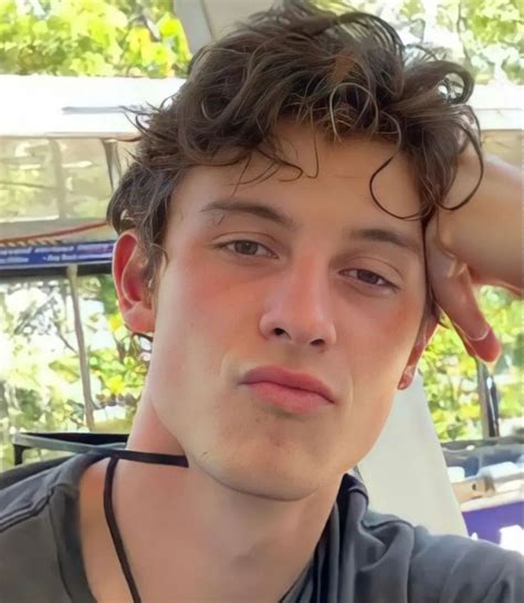 Shawn Mendes Canada Cute Babes Beautiful Man Aesthetic Babes Canadian Men Artofit