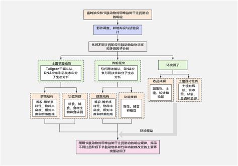 如何绘制一幅让论文评审专家眼前一亮的技术路线图 Processon知识社区