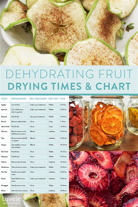 Dehydrating Fruit Pretreatment And Drying Times Chart Luvele Cz