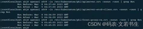 k8s学习 三十四 飞腾2000 麒麟v10离线部署k8s 麒麟v10安装k8s csdn博客
