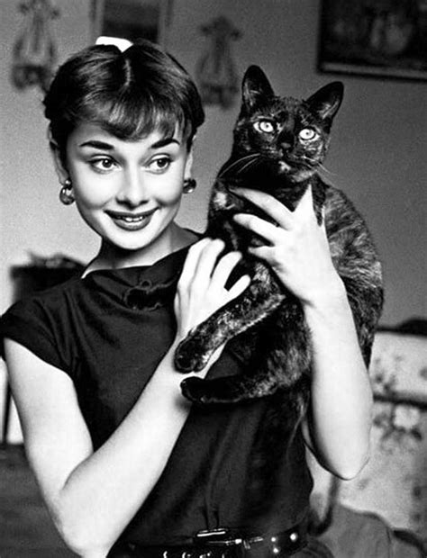 Dailyactress Audrey Hepburn Audrey Hepburn Photos Celebrities With Cats