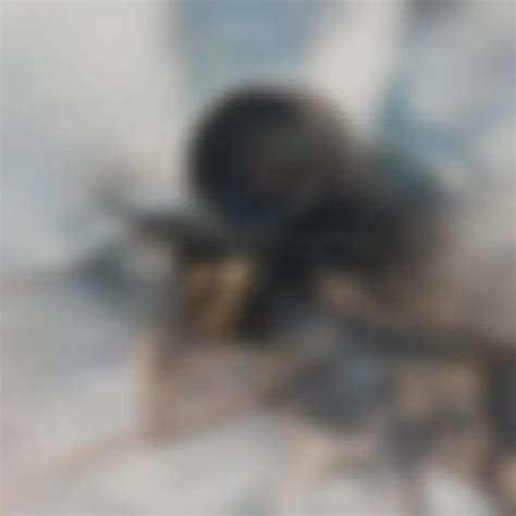 Unraveling The Intricacies Of Antibody Formation