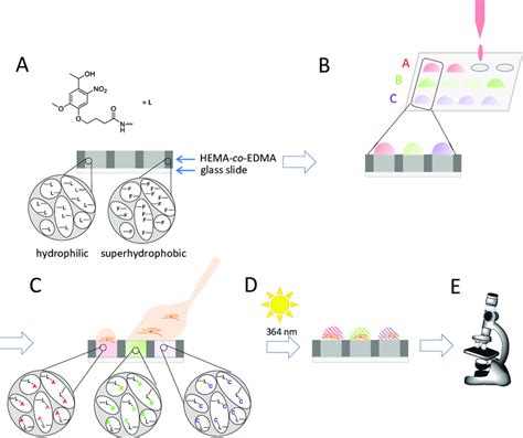 General Workflow Of Solid Phase Synthesis Using The Chembios Platform