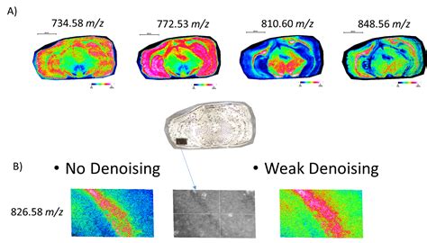 Bruker Tims Tof Flex Maldi 2 Centre For Microscopy And Microanalysis University Of Queensland