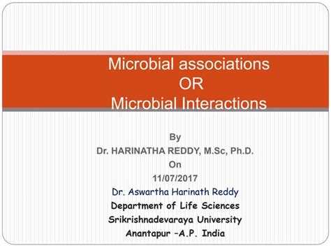 Microbial Associations Or Microbial Interactions Pptx
