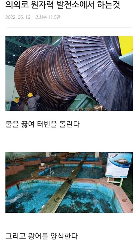 의외로 원자력 발전소에서 하는 것 링커리어 커뮤니티