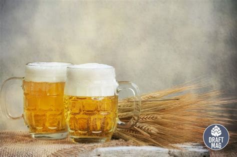 Totally Naked Everything You Need To Know About This Exotic Beer