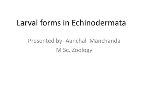 Larval Stage In Different Animal Pdf
