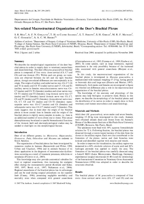 Pdf Sex Related Macrostructural Organization Of The Deers Brachial Plexus