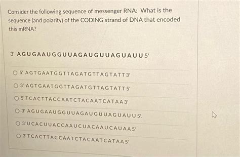 Solved Consider The Following Sequence Of Messenger RNA Chegg