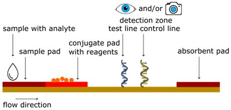 Use Of Lateral Flow Assays In Forensics