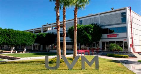 Trámite De Titulación En Uvm