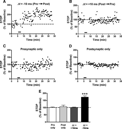 Stdp Is Biased Toward T Ltp At Sensory Synapses Onto Adult Projection