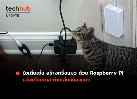 ไอเดียเจ๋ง สร้างกริ่งแมว ด้วย Raspberry Pi แจ้งเตือนทาส ผ่านเสียงน้อง