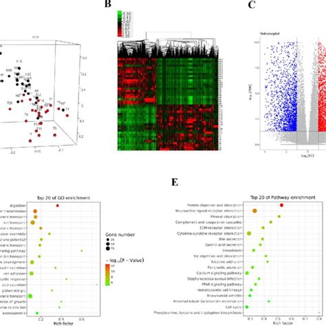 aeg rna seq data analysis a principal component analysis of rna seq