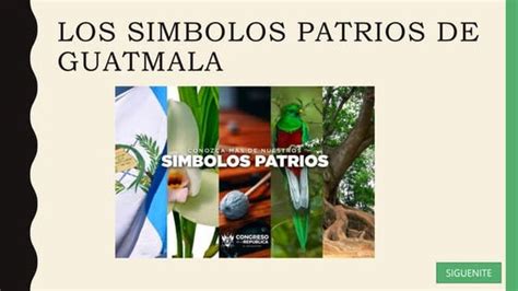 Historia De Los Simbolos Patrios Guatemala Personas Símbolos Patrios