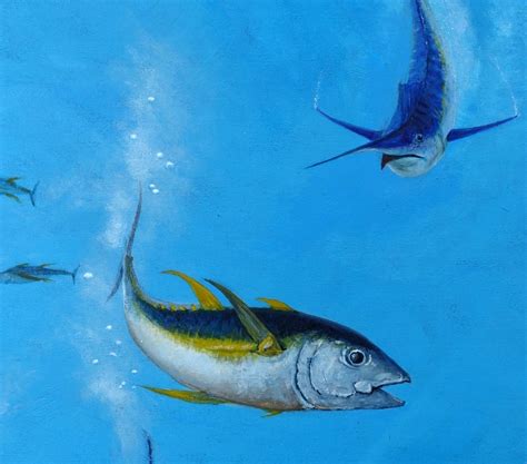 Marlin Hunting John N Mason