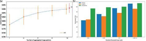 A Patch Embedding Convergence To The Instance Embedding For A