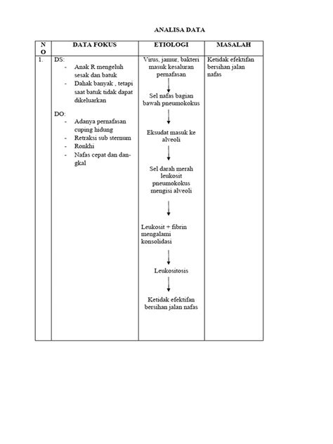 Analisa Data Pdf